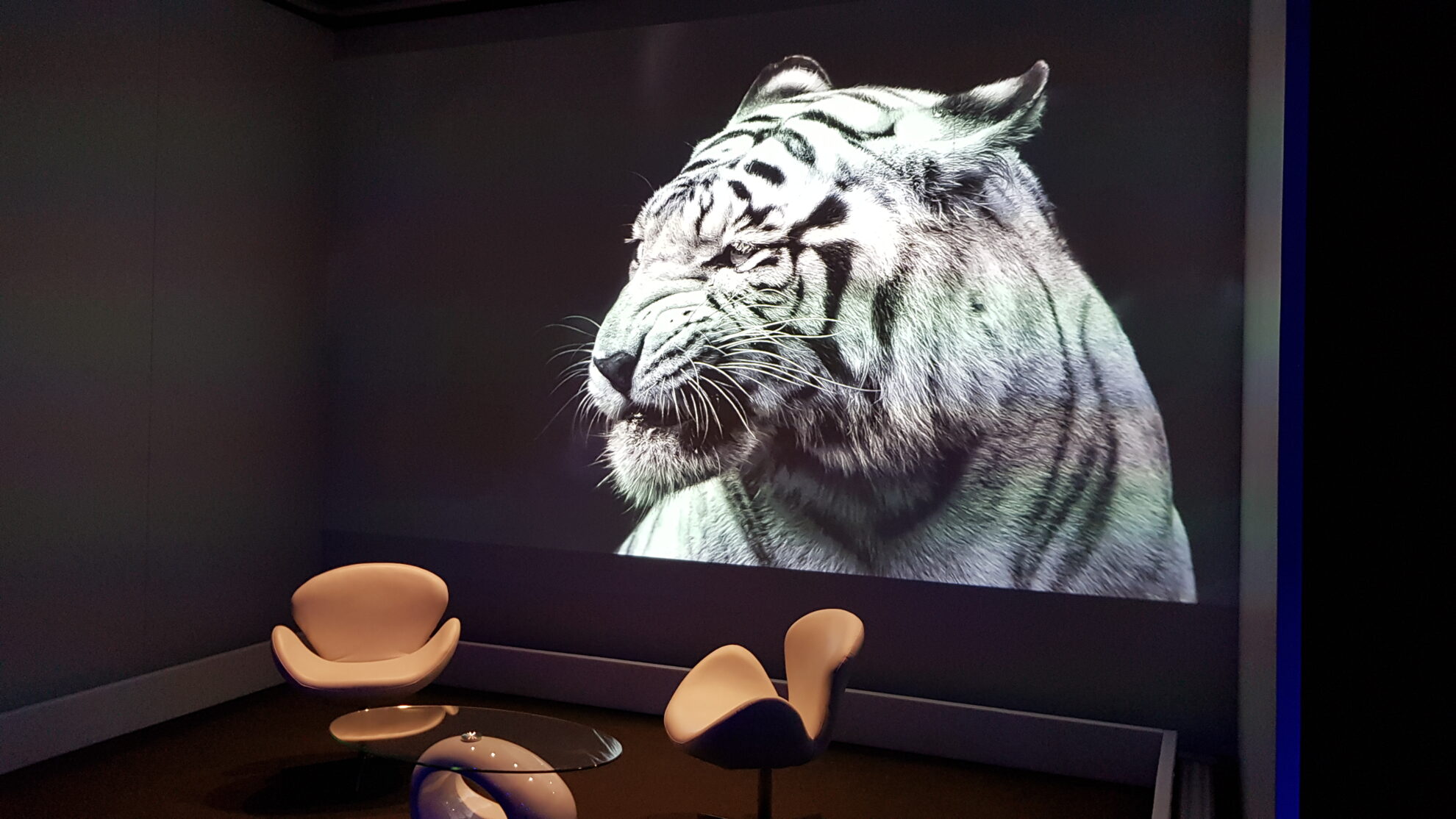 Virtual Event Studio Installation | For Venues & Offices in London & UK